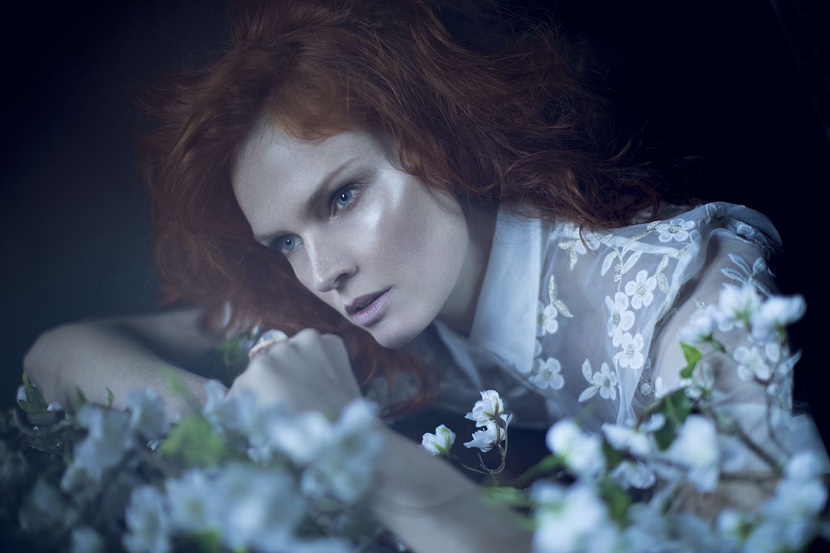 JOSE FERREIRA PHOTOGRAPHER