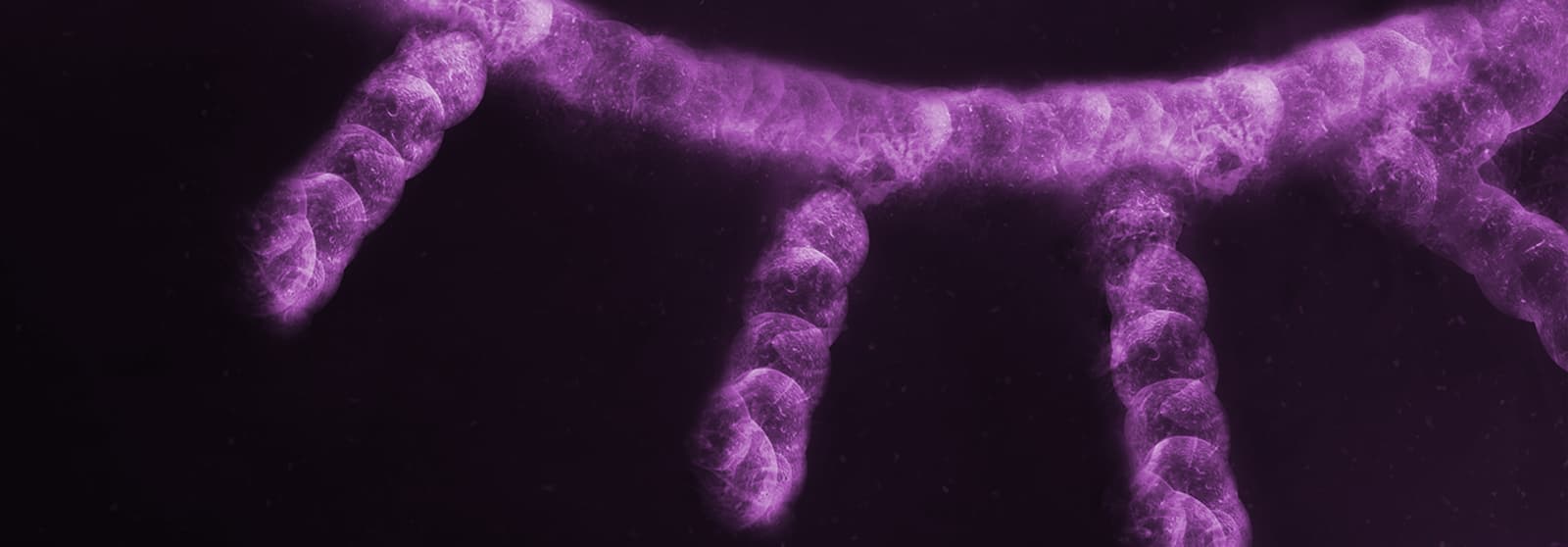 Partnering to Advance Human Health - Almac