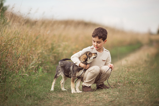 Child Safety with Dogs: A Parent's Guide to Happy and Safe Interactions