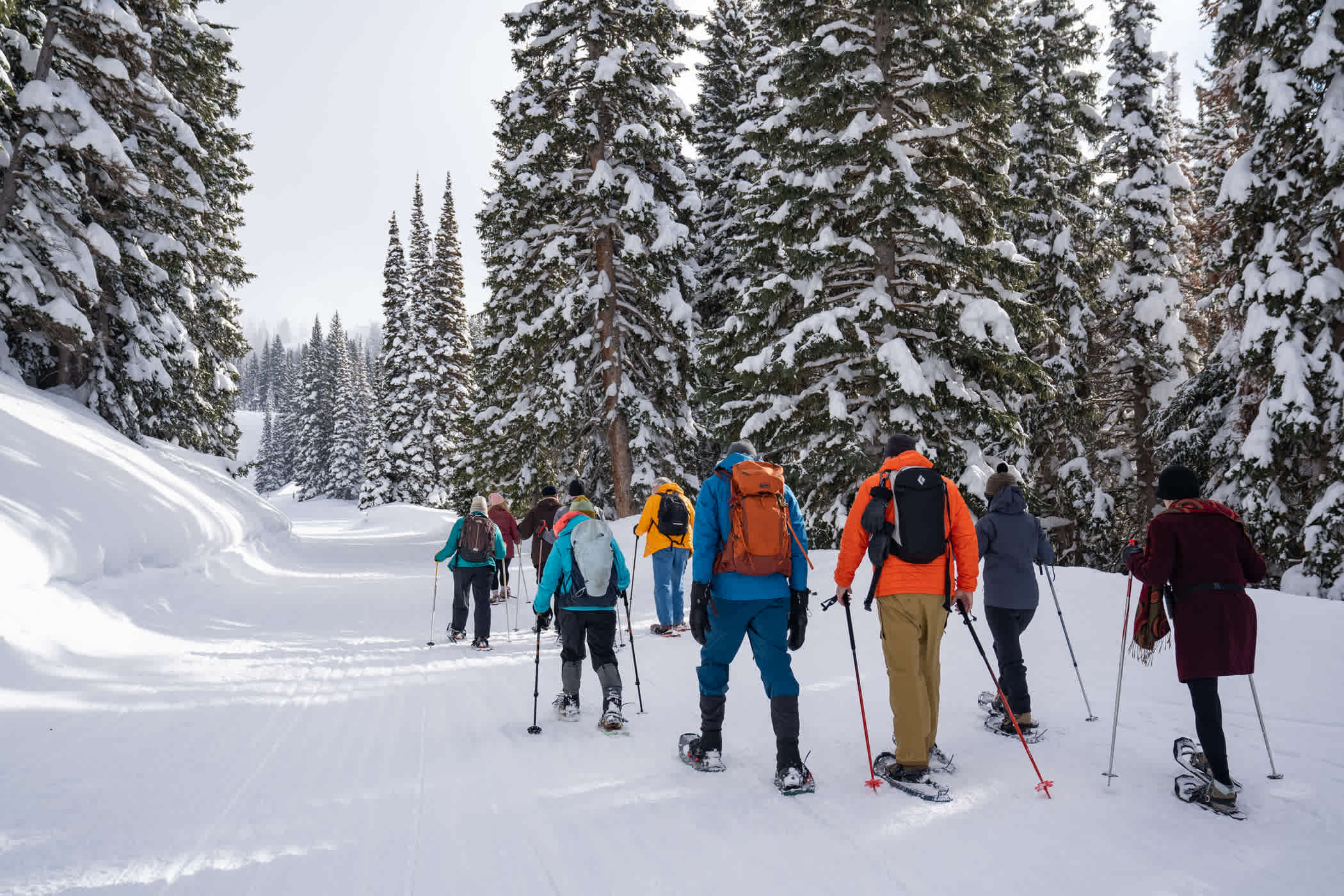 Alta Winter Education Programs