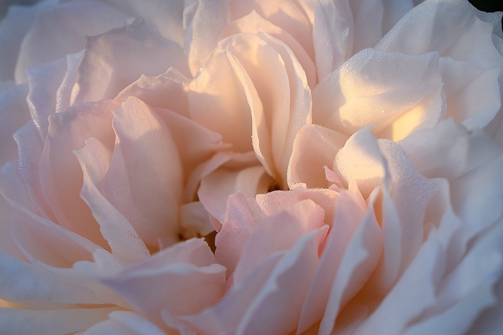 Home - Aluna Healing