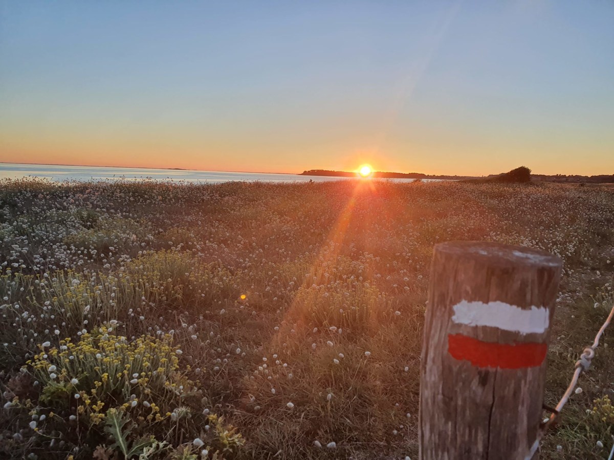 Visiter Baden et le Golfe du Morbihan Bretagne Sud - La Ferm'h