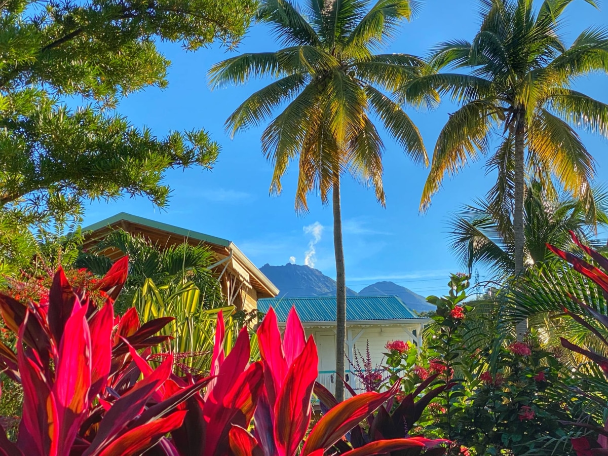Luxury hotel in Baillif | PARADIS TROPICAL