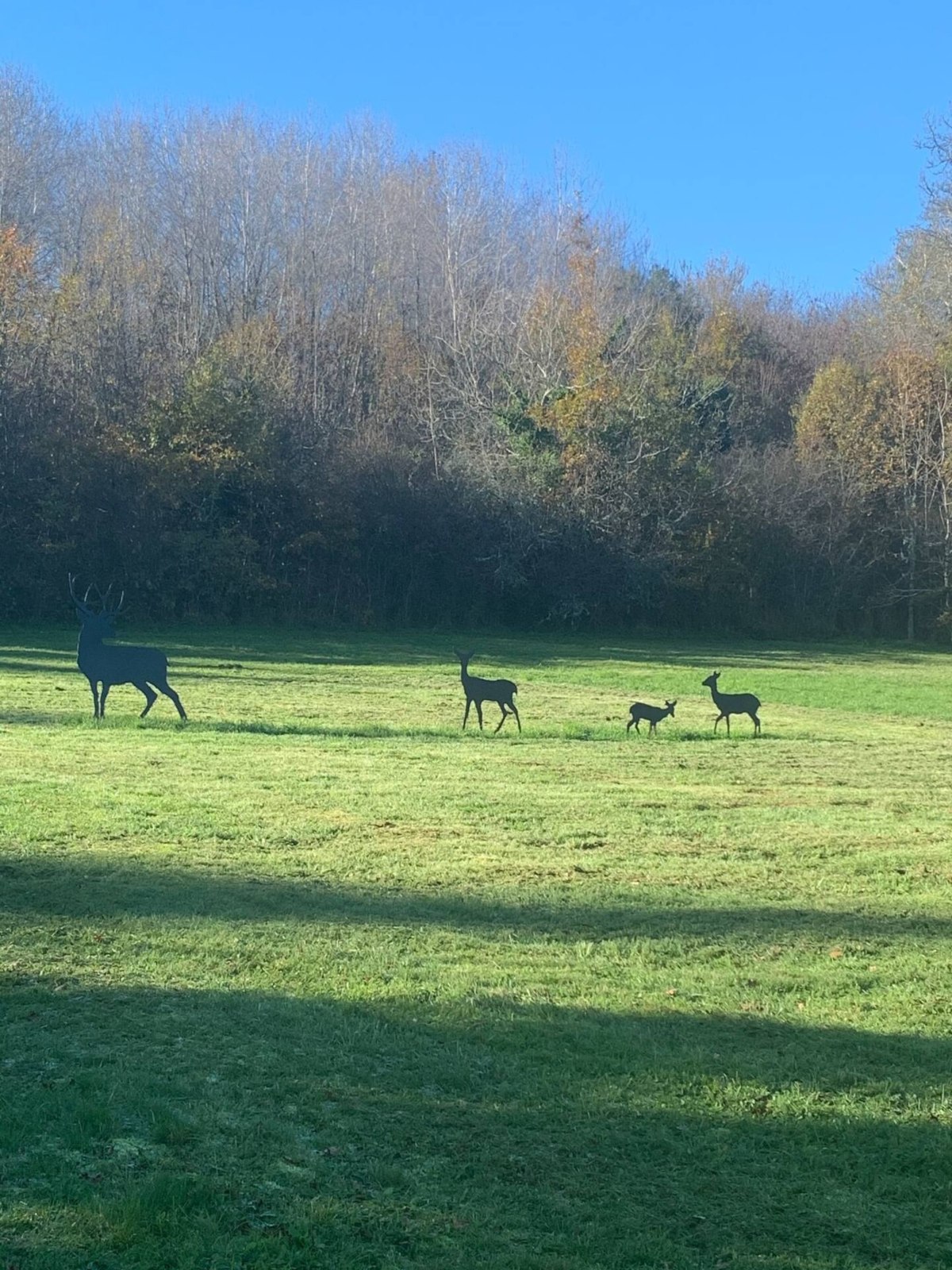 Visiter la Dordogne - Dormir à la Biche au Bois