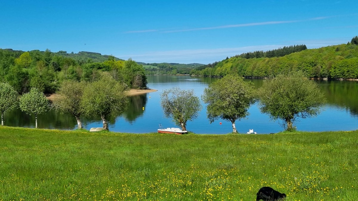 SALVETAT SUR AGOUT | Toutes les infos