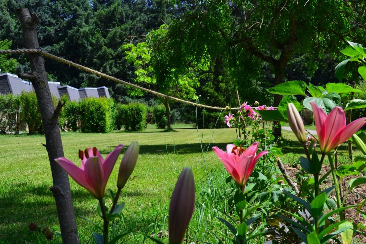 Pourquoi le Plateau de Beille est la destination idéale pour un été en ...