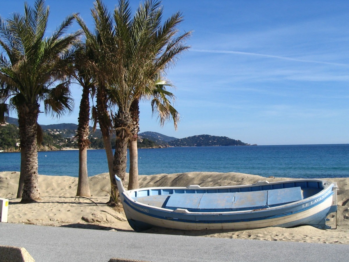 Les Pins Penchés | Bienvenue dans notre havre de paix