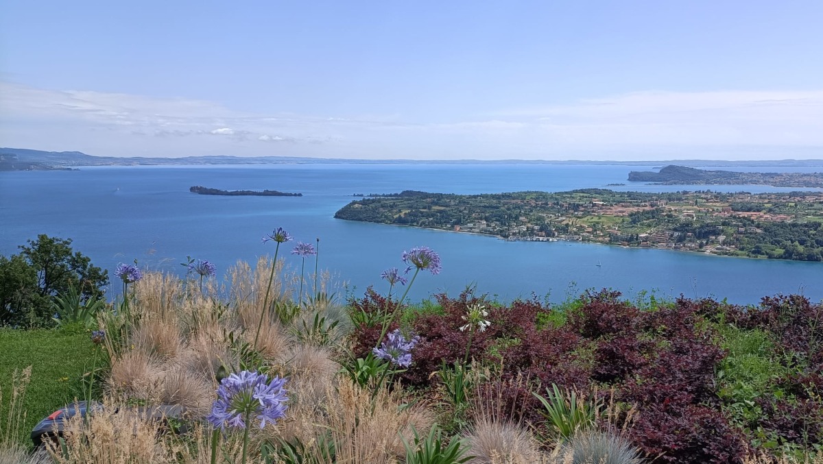 Contacts | Prince Garda