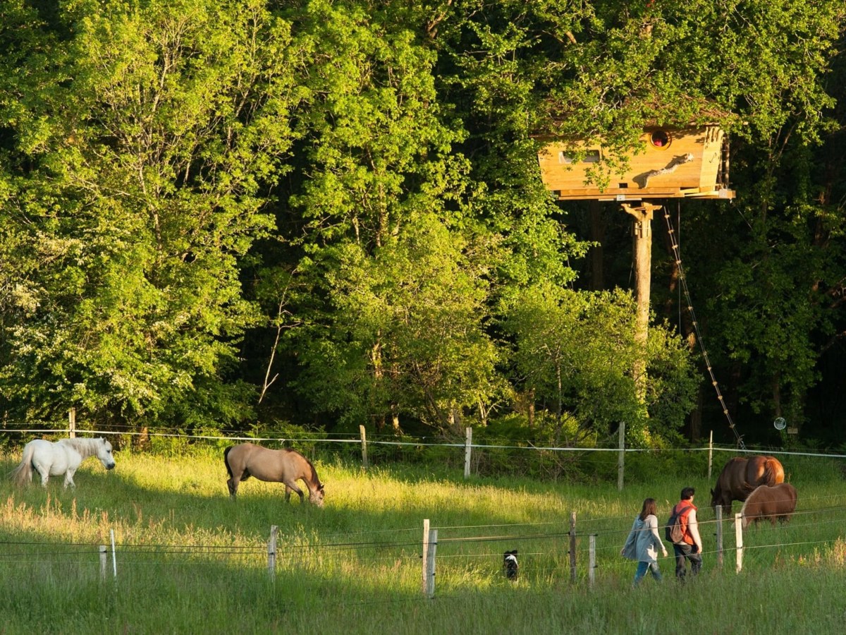 Access and contact | Dihan