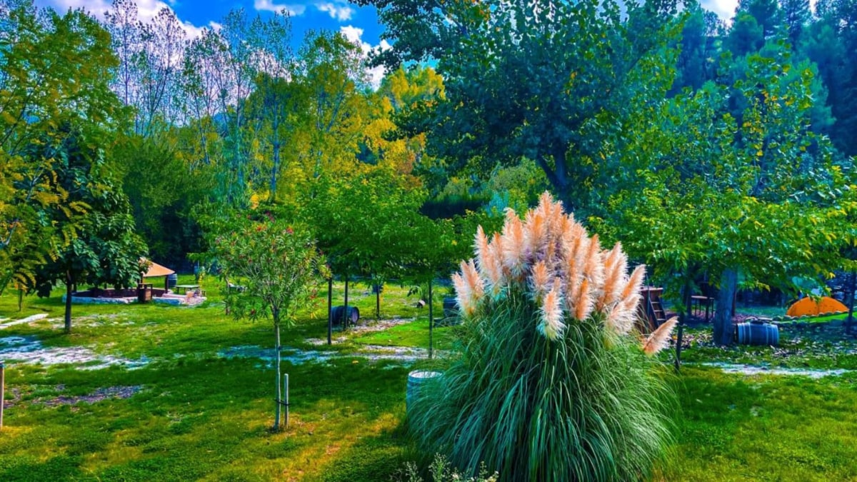 Contact Molí de les Pereres for Reservations and Inquiries