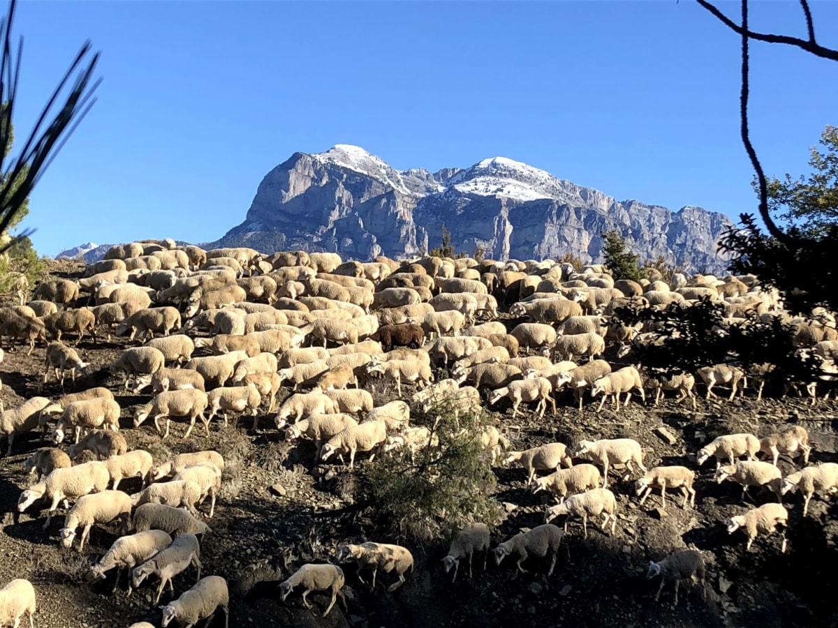 Qué ver y hacer en Labuerda | Casa Alfós
