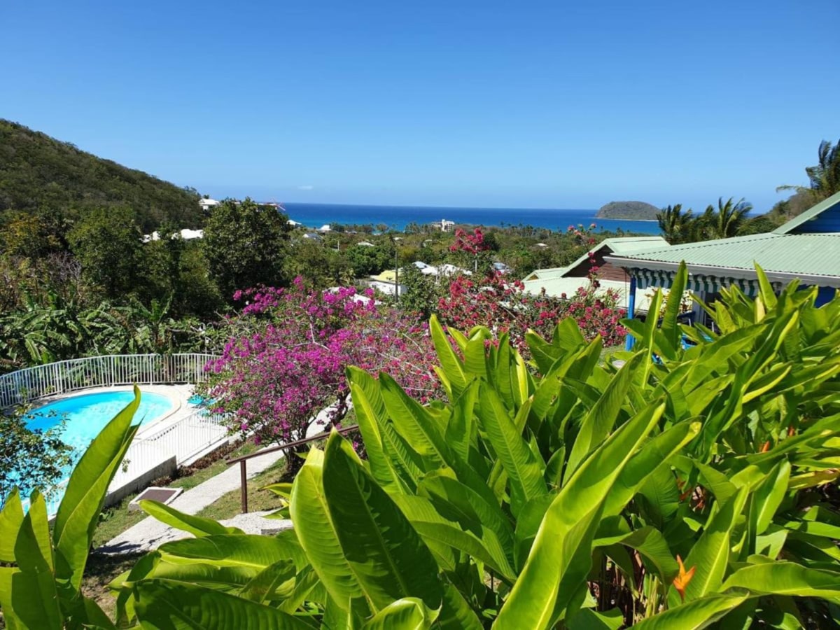 Contactez La Colline Verte à Deshaies|Nous sommes là pour vous