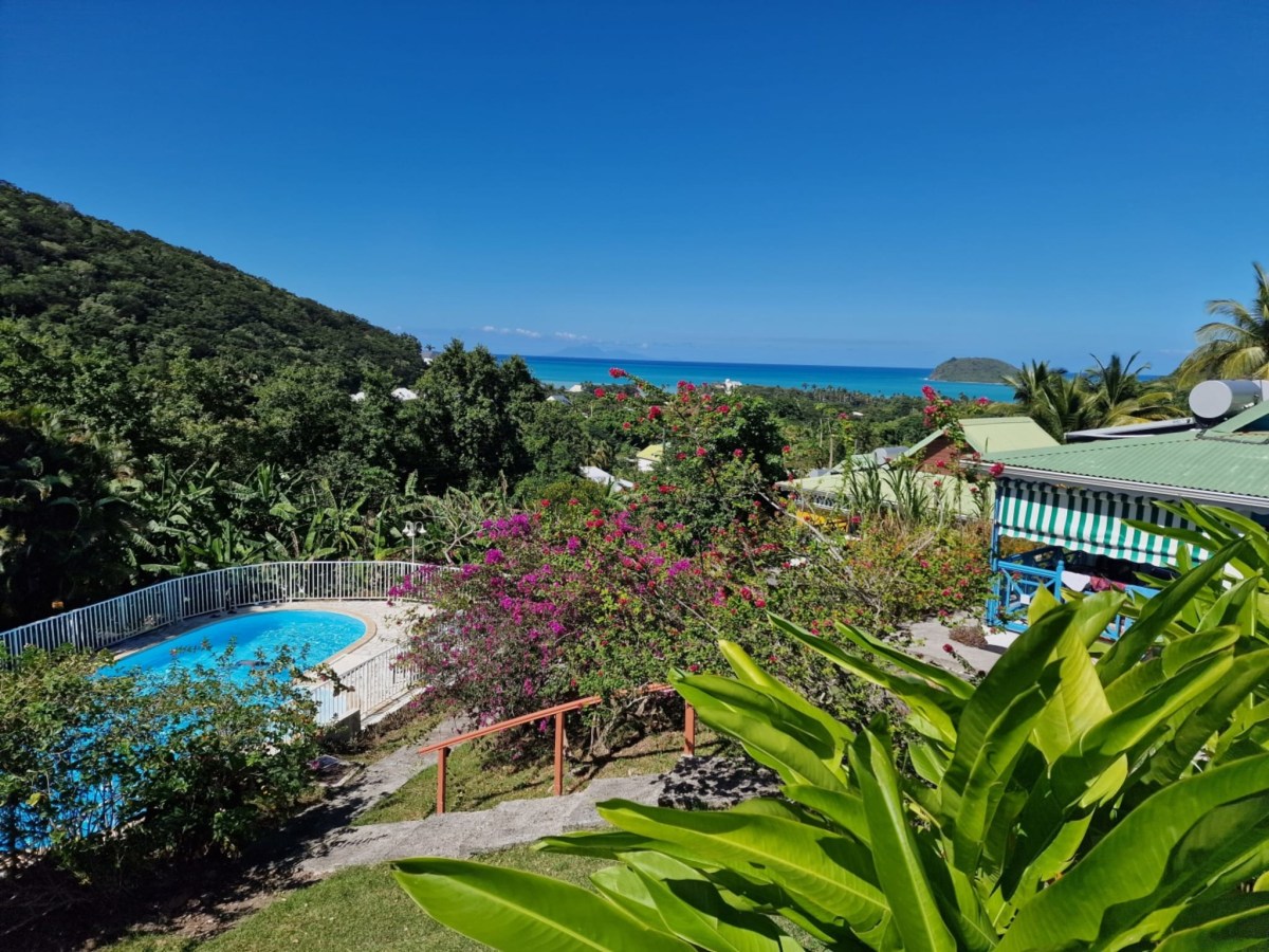 Bienvenue à La Colline Verte, Deshaies|Découvrez notre paradis tropical