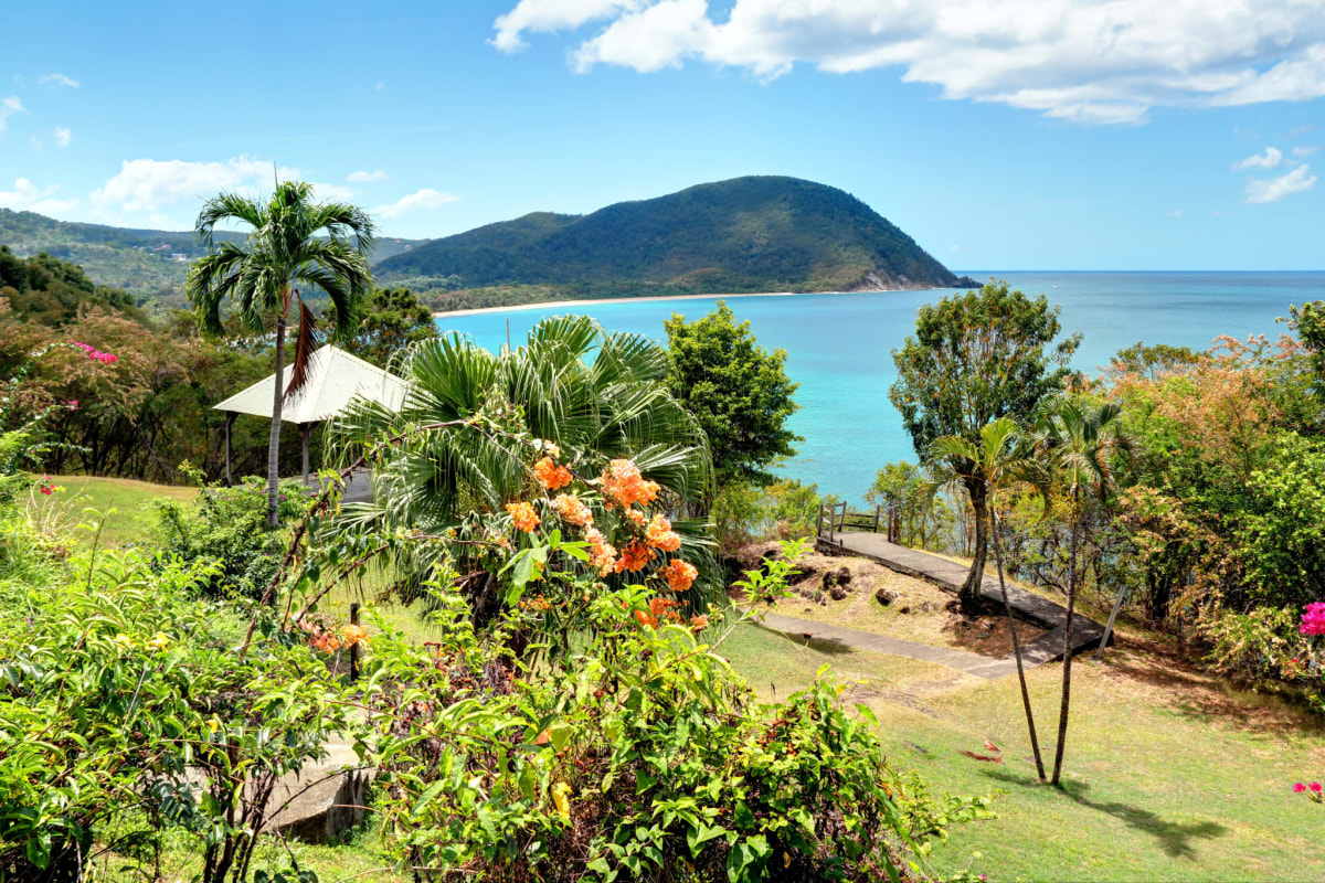 Découvrez Guadeloupe depuis La Colline Verte|Deshaies, GP