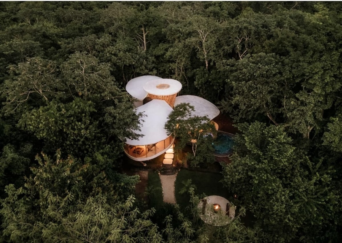 Casa Awakening, El Cuyo