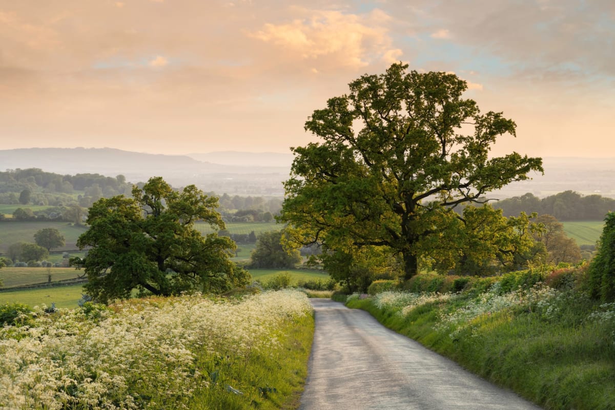 Dog-Friendly B&B and Pub in Stroud, The Cotswolds | The Star Inn