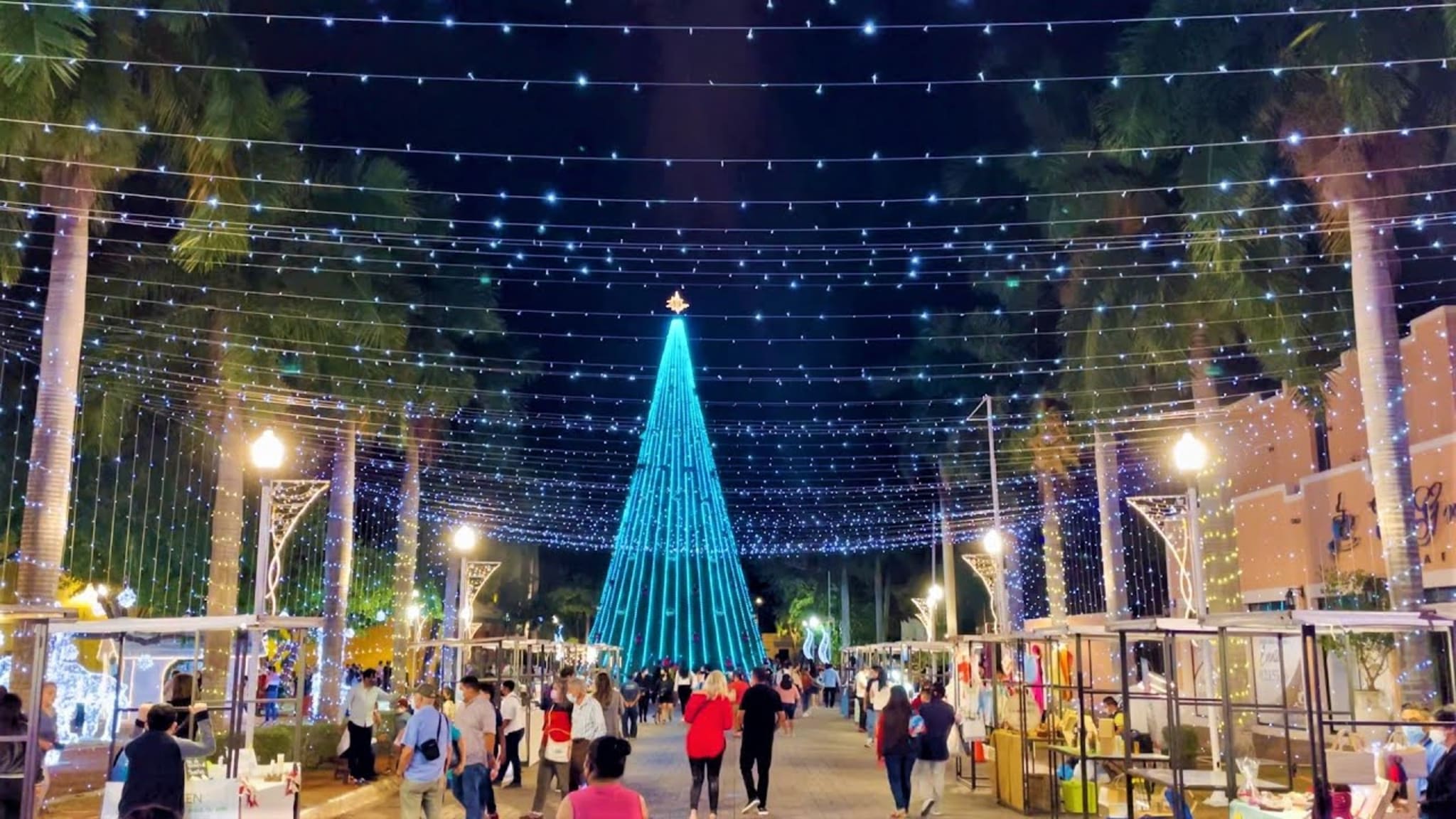 The Best 5 Rooftop Bars in Merida, Mexico