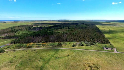 Braeside Retreats - Surroundings - Local Adventures