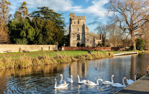 Dog-Friendly B&B and Pub in Stroud, The Cotswolds | The Star Inn