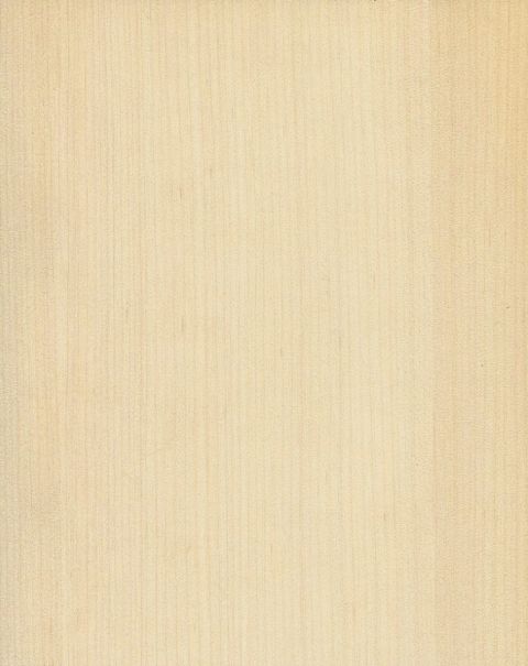 Quarter Sawn Maple Veneer