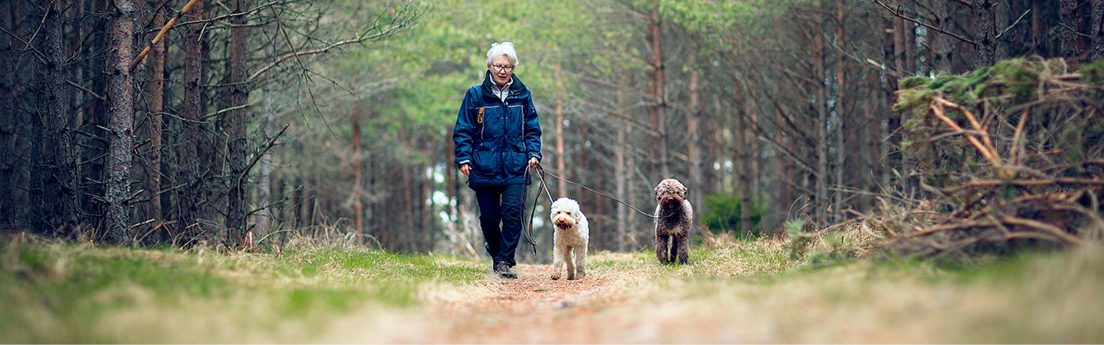 Nearing Retirement | American Century