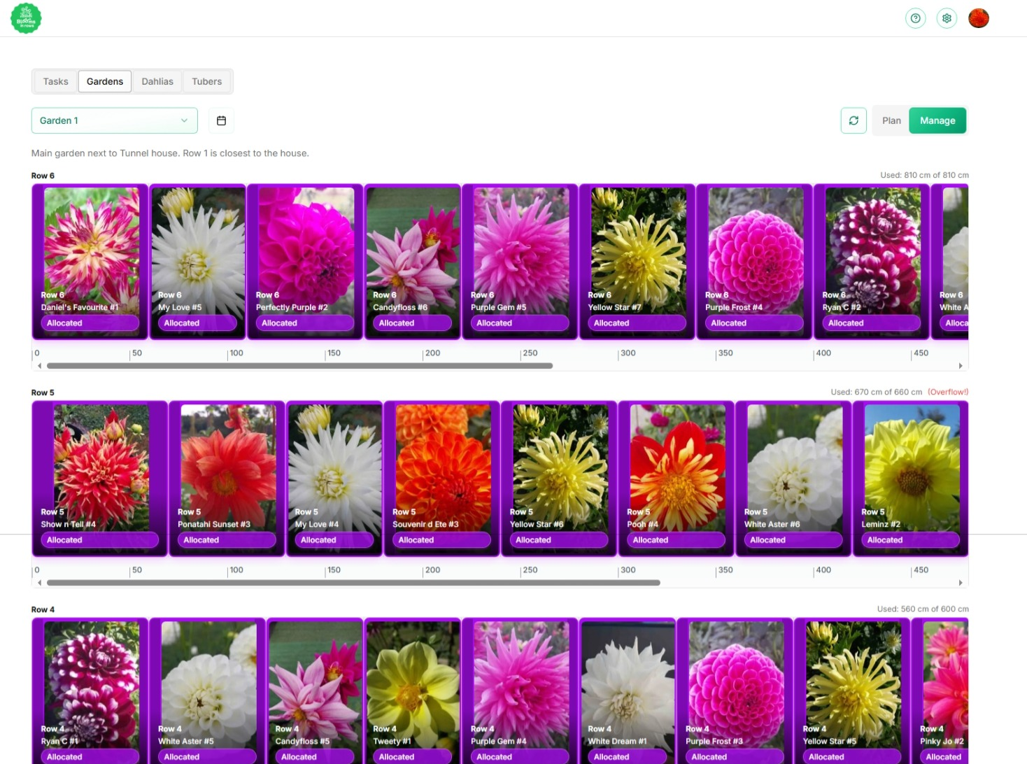 Dahlia Garden App - Blooms in Rows, complete solution