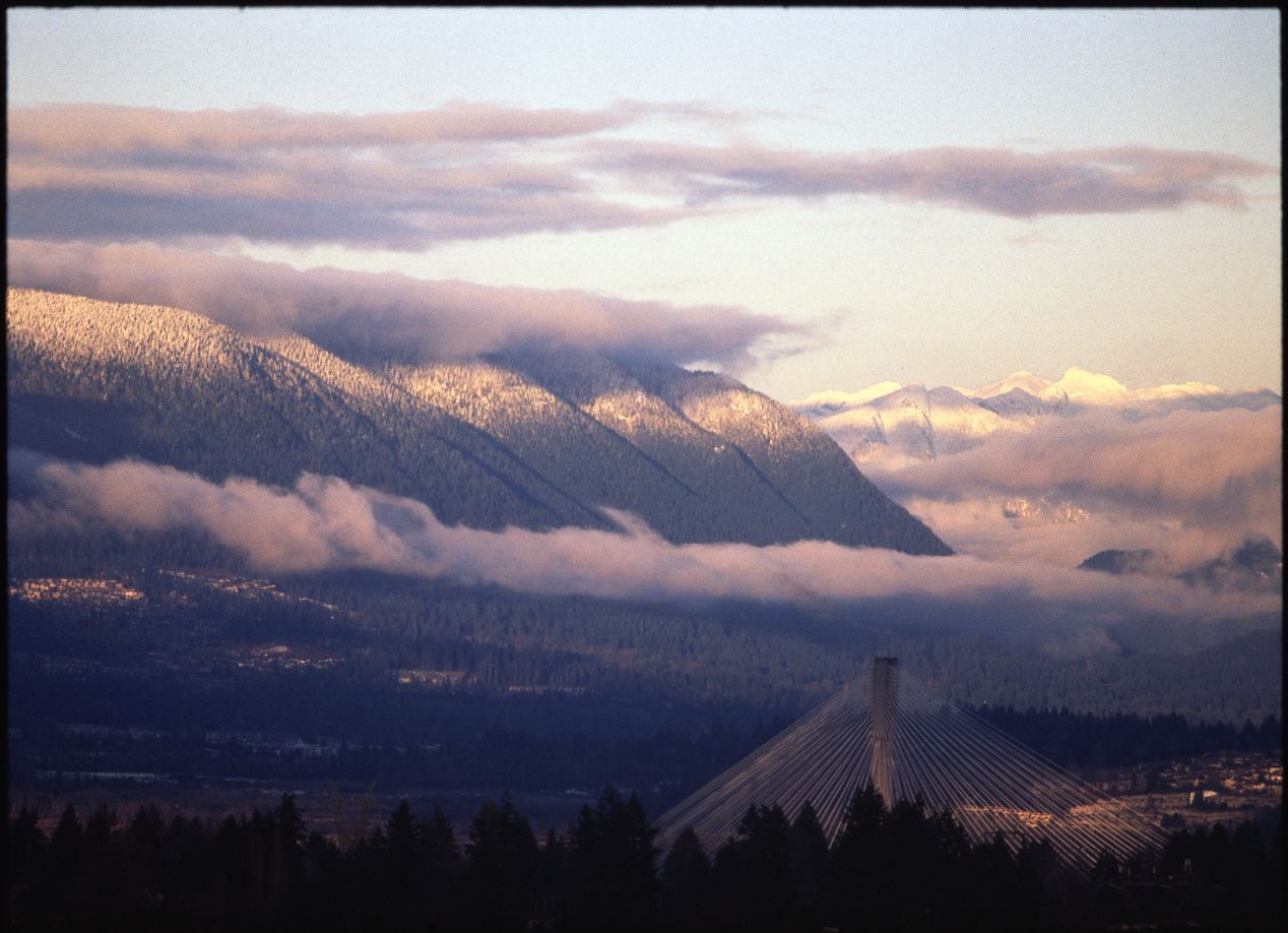 Fujifilm Fujichrome Velvia 50 Film Review