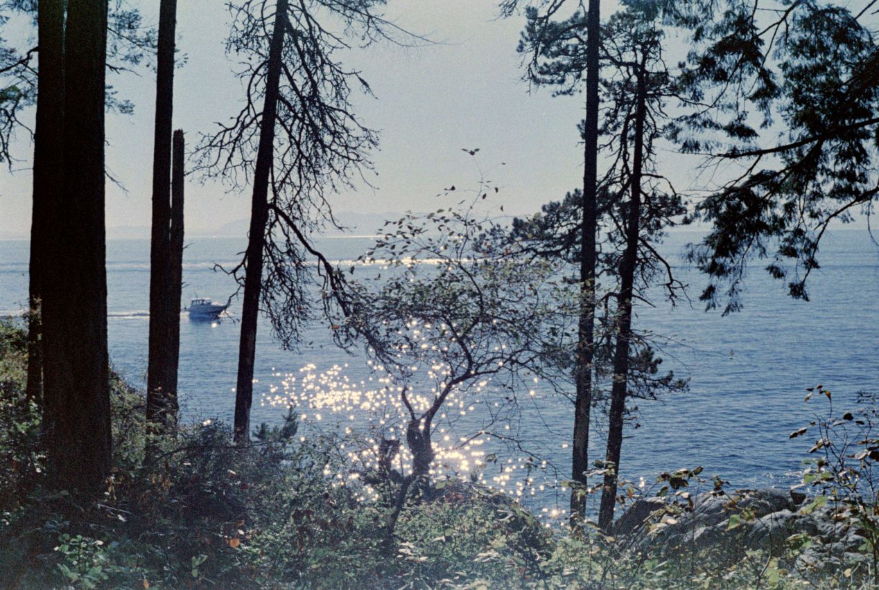 Lomochrome Color ’92 Film Review