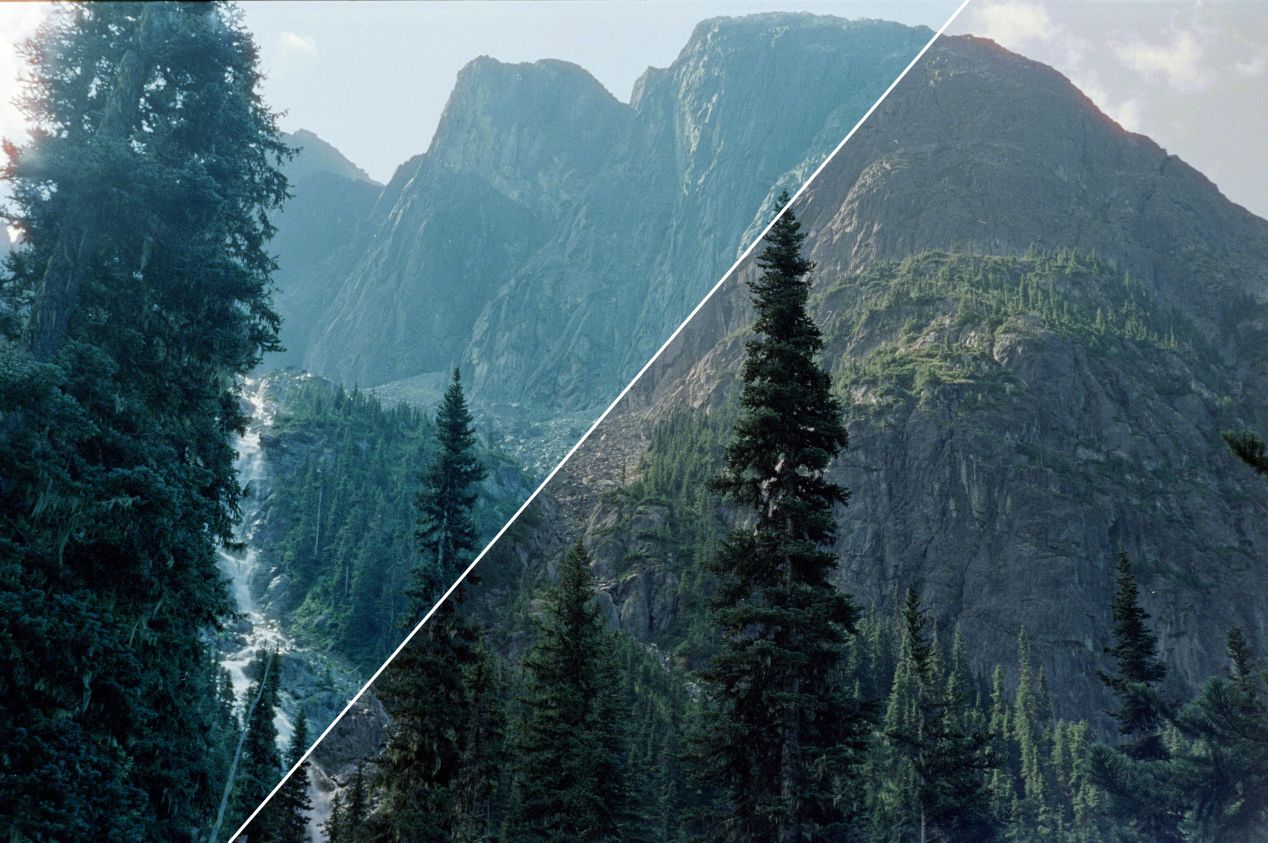 CineStill 800T Film Review
