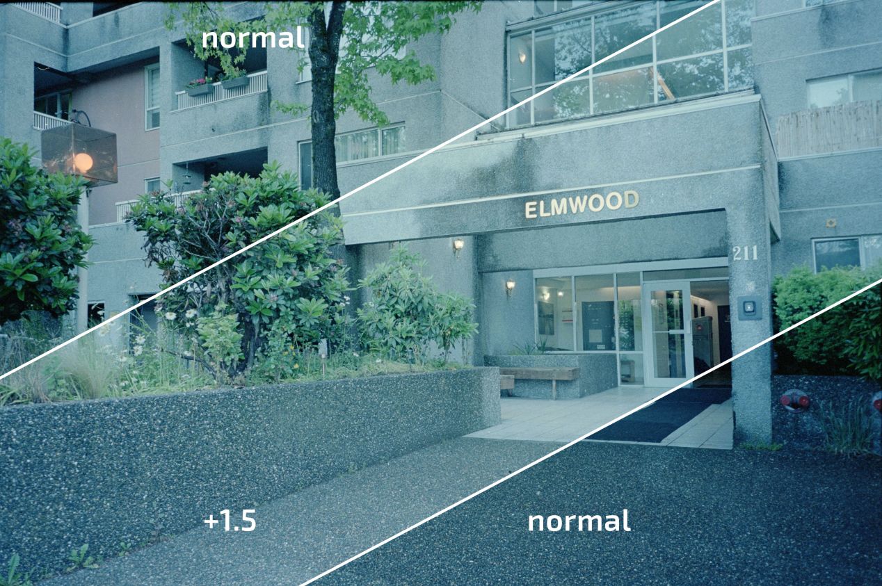 Kodak Portra 160 Film Review