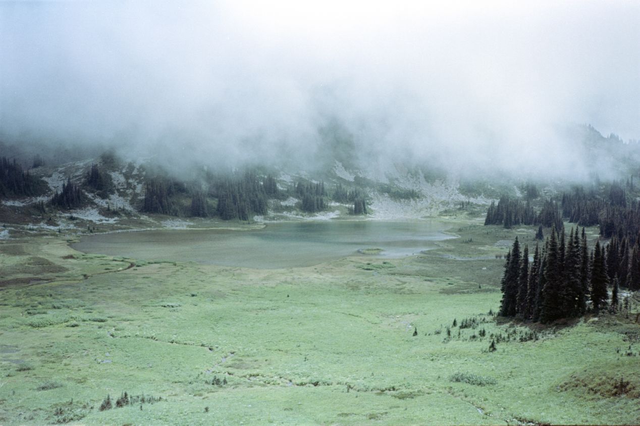 Yashica T5/Kyocera T-Proof Camera Review