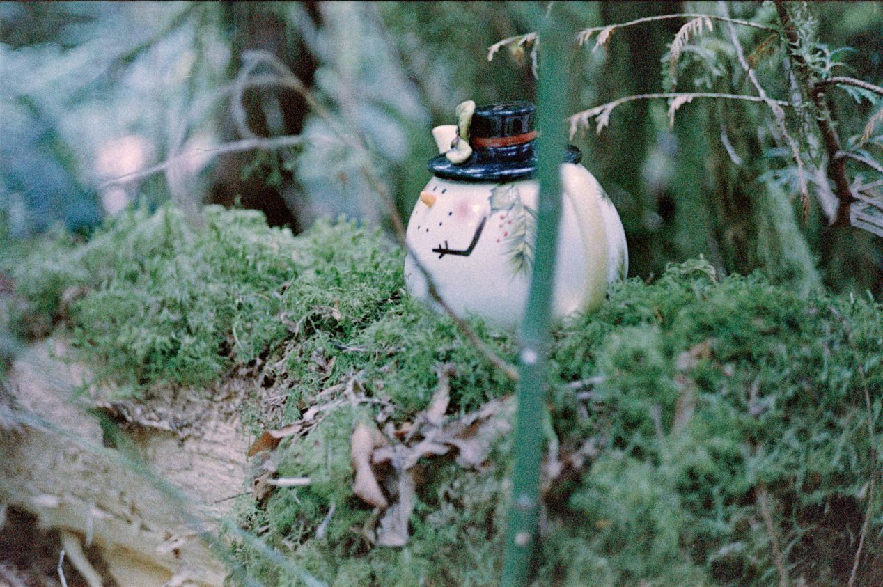 Lomochrome Color ’92 Film Review