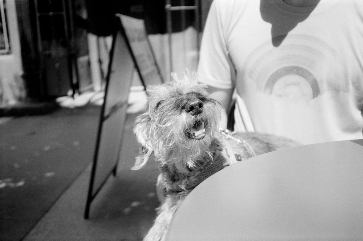 Ilford FP4 Plus Film Review: Versatile, Fine-Grained, Affordable