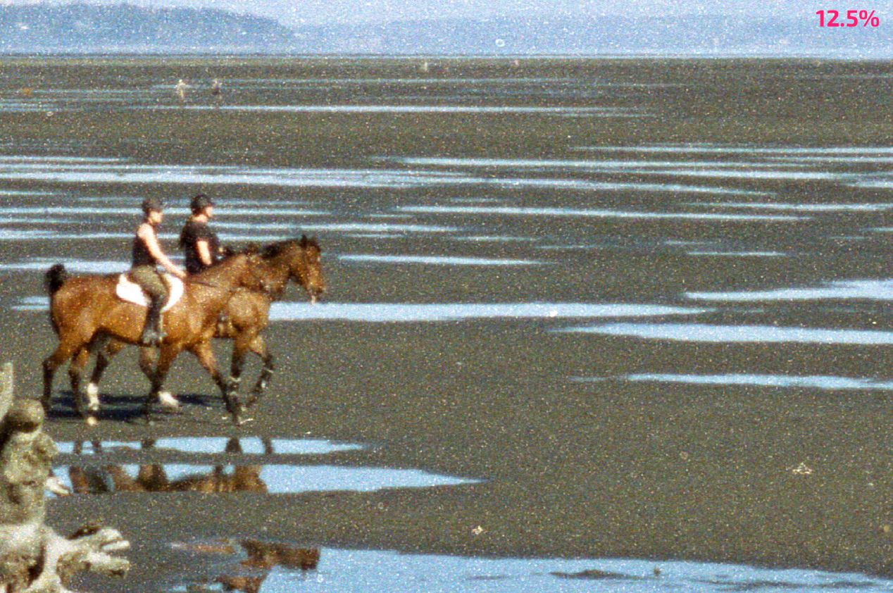 CineStill 50D Film Review: Cinema Colour in a Little Blue Box