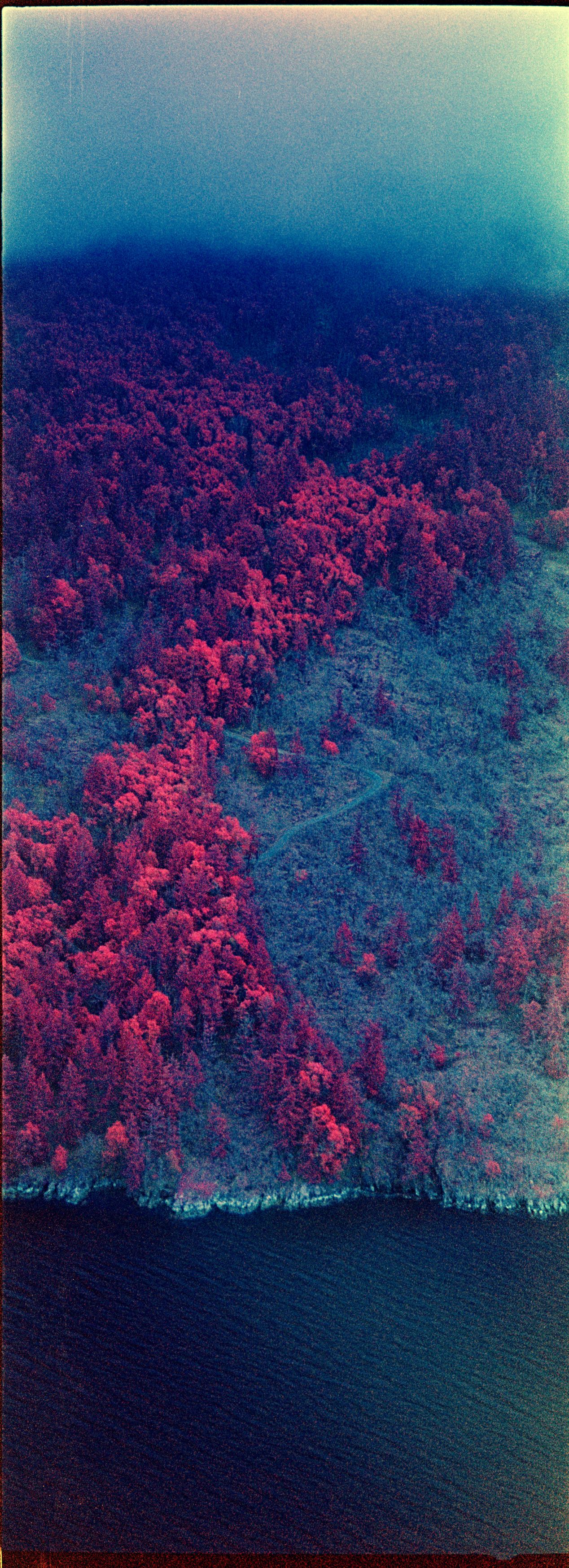 Kodak Aerochrome — a Colour IR Film Guide & Review