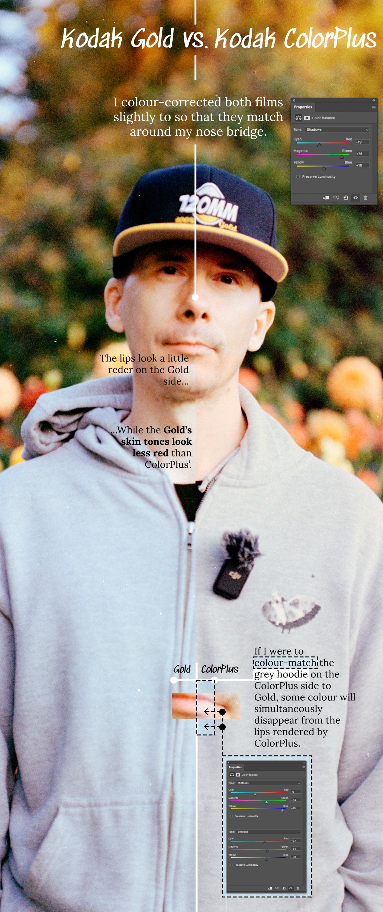 Kodak Gold vs. ColorPlus: Side-by-Side Comparison