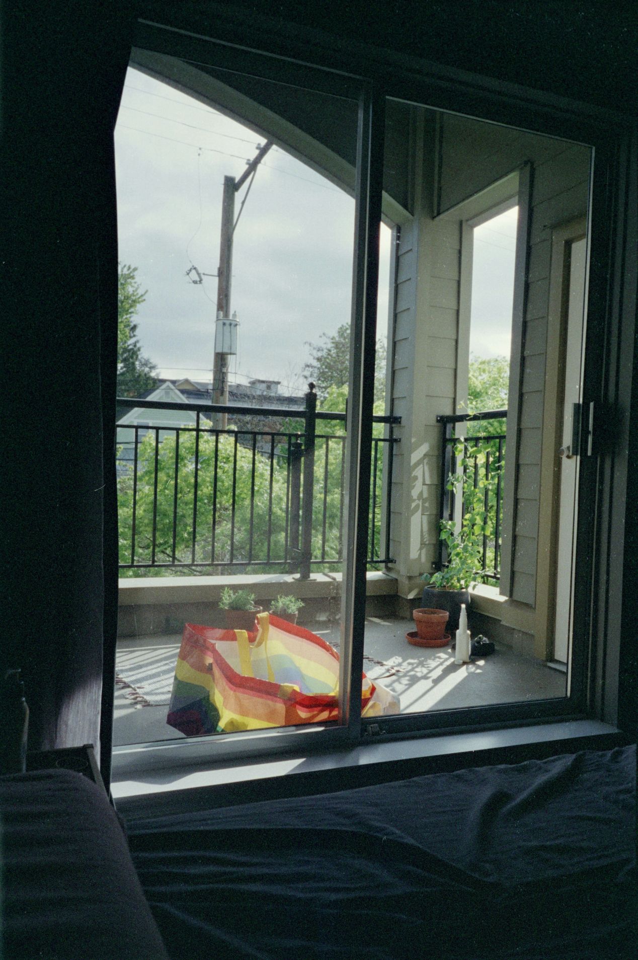 Adox Color Mission Film Review: Grainy Colour Magic