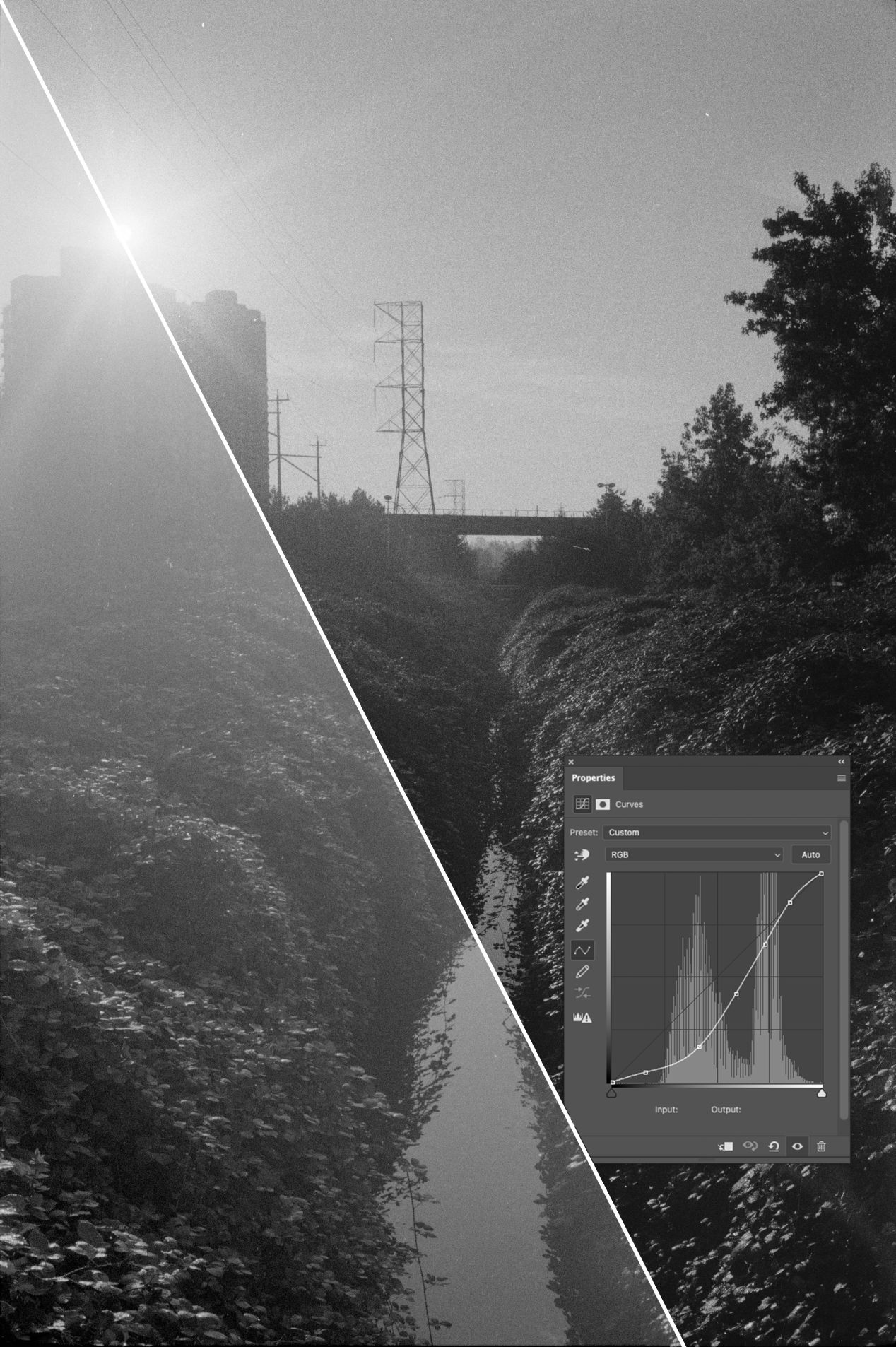 Canon Canonet QL17 GIII Film Camera Review