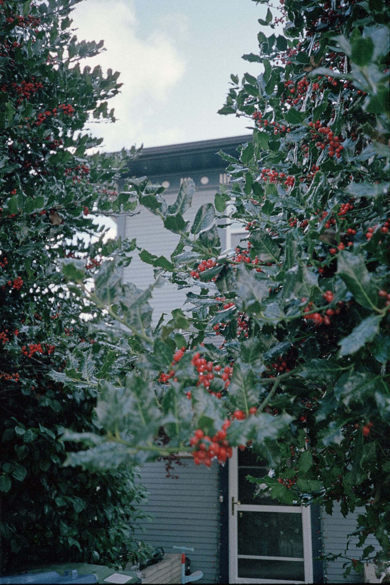 SantaColor 100 a.k.a. Kodak Aerocolor IV Film Review