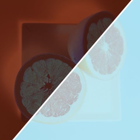 How to Manually Invert Film Negatives