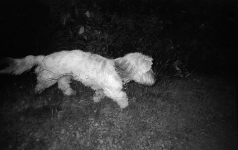 RETO Pano Reusable 35mm Film Camera Review