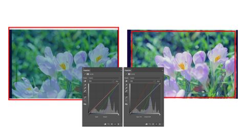 How to Manually Invert Film Negatives