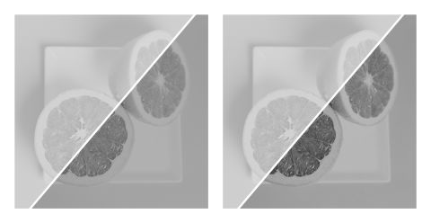 How to Manually Invert Film Negatives