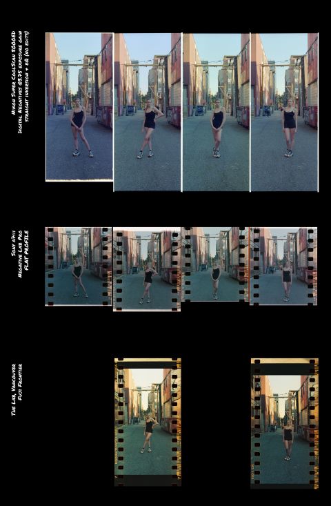 All the C-41 ISO 800 Colour Films, Compared