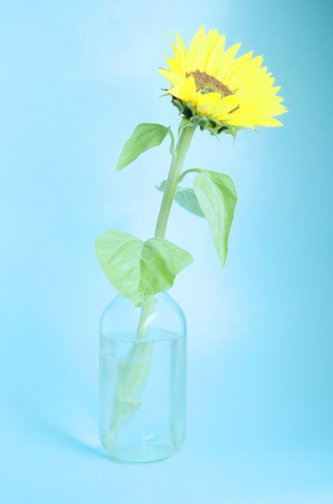 How to Overexpose Film