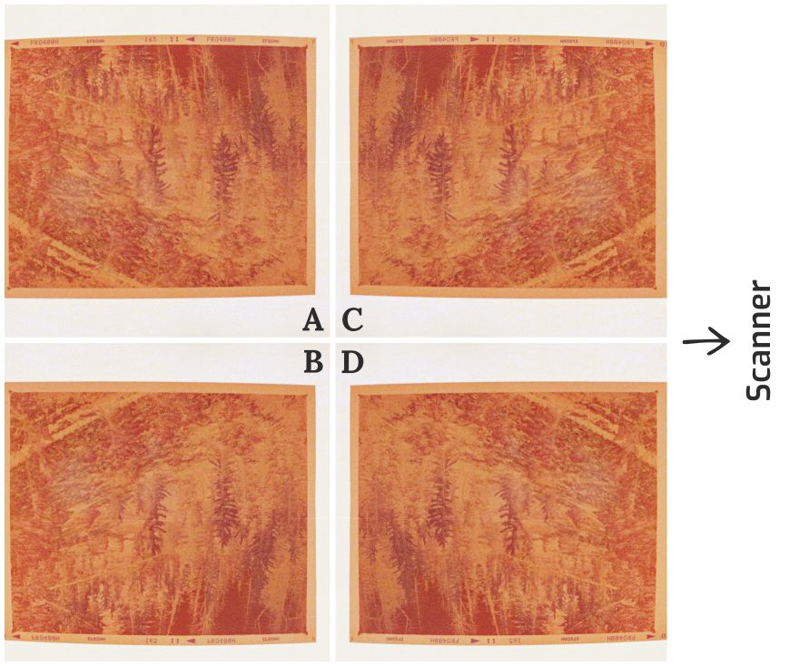 Film Scanning: Which Side Is Up?