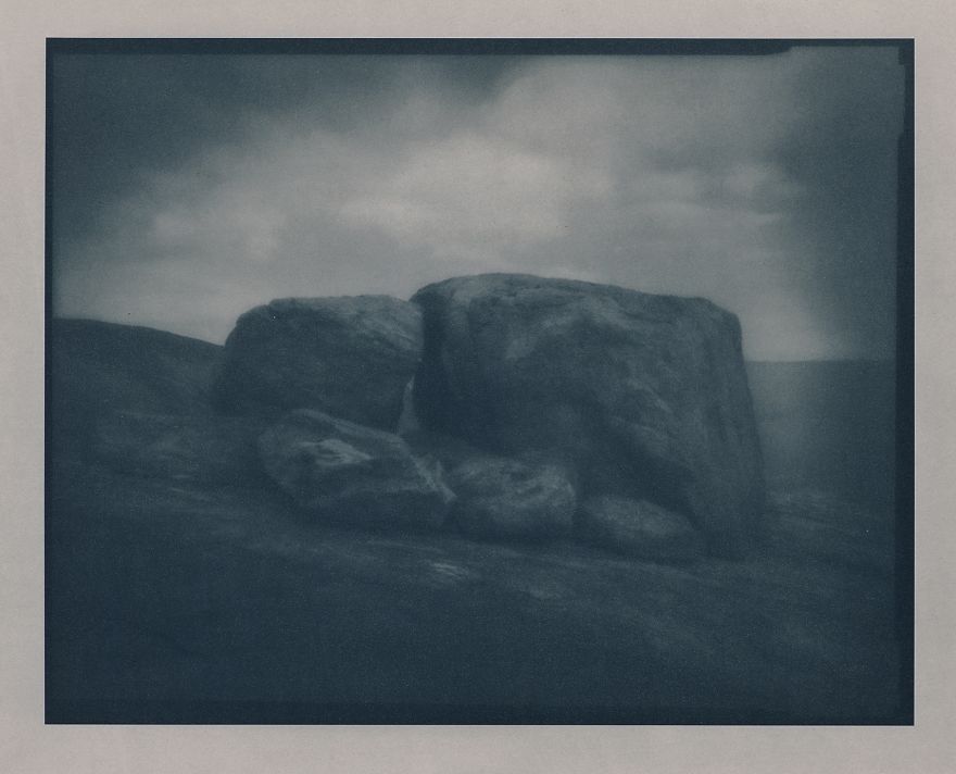Cyanotype Landscapes: Large Format, Digital Negative, Botanicals