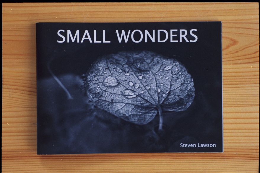 Small Wonders: Book Review