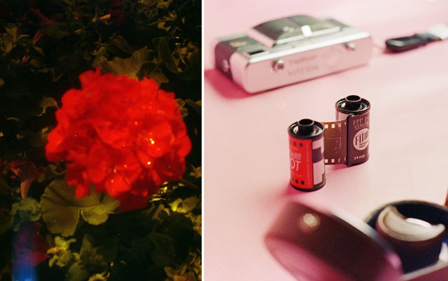 The Redscale Film Guide