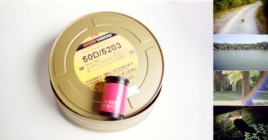 Kodak Vision 3 50D 5203/7203 Film Review